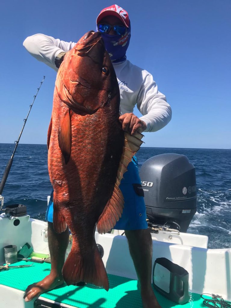 Cubera Snapper1 – Papagayo Gulf Costa Rica Sport Fishing, Surfing and ...